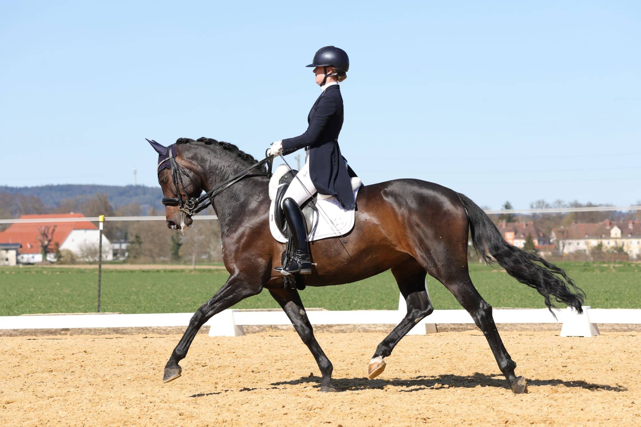 Team RC Hofinger glänzt beim Ranshofen Masters I | Pferdenews